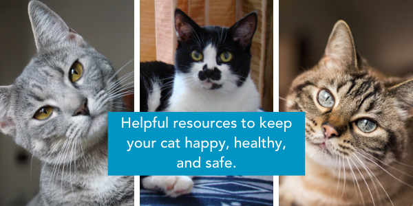 Helpful Cat Resources | Preventive Vet
